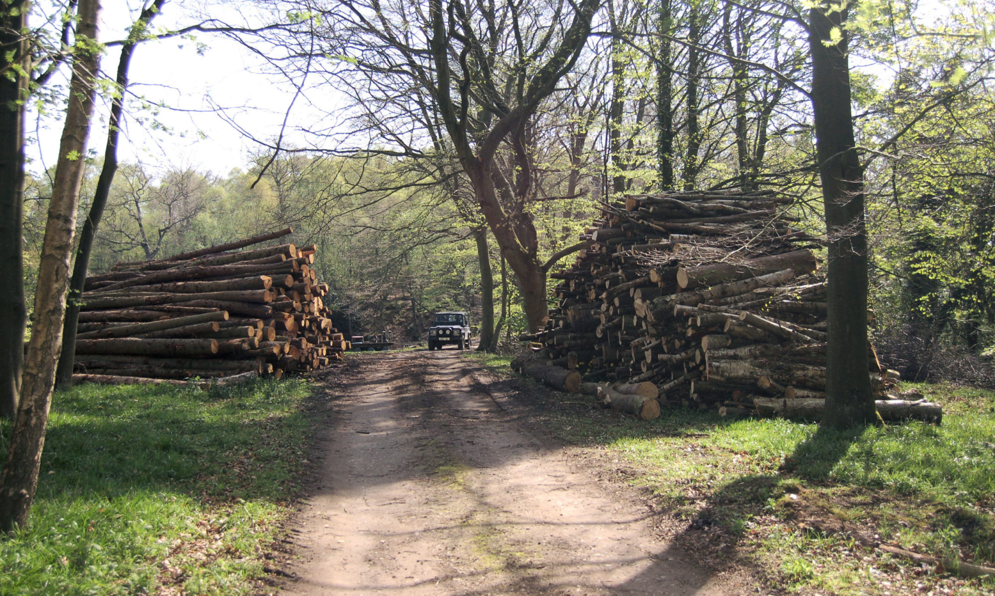 Firewood Logs Order Form – Caddis